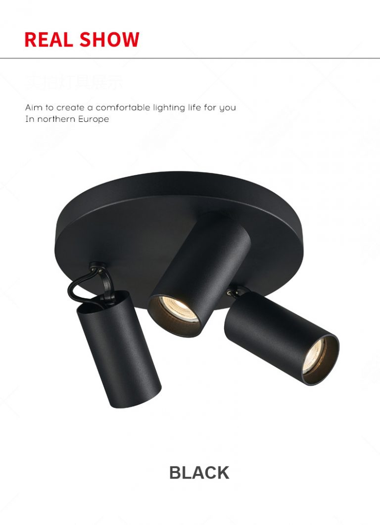 China LED factory mounted spotlight M8900 – MISSION LED LIGHTINGS,China ...